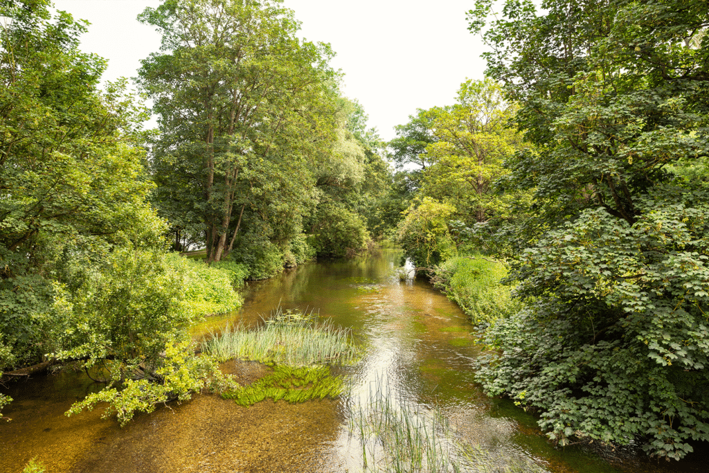 COLNE VALLEY REGIONAL PARK - Denham